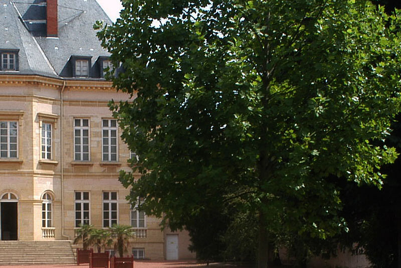 Activités confinées ! | Musée de Roanne